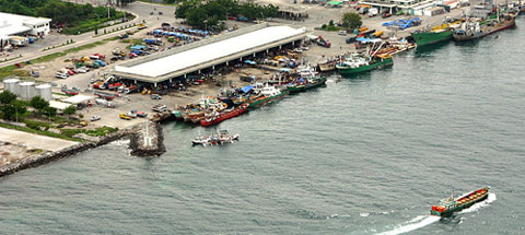 Agilex Tuna Export: General Santos City Tuna Fish Port
