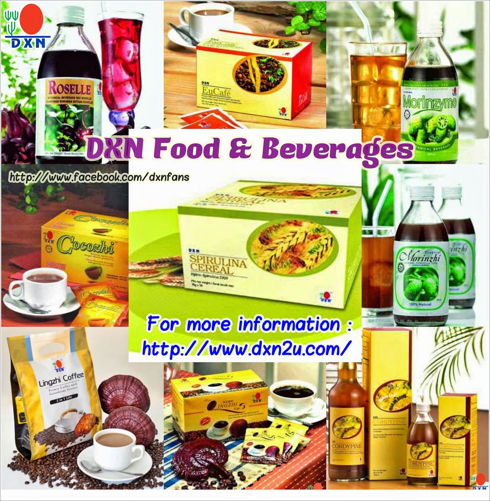 Welcome to the DXN Fans Blog