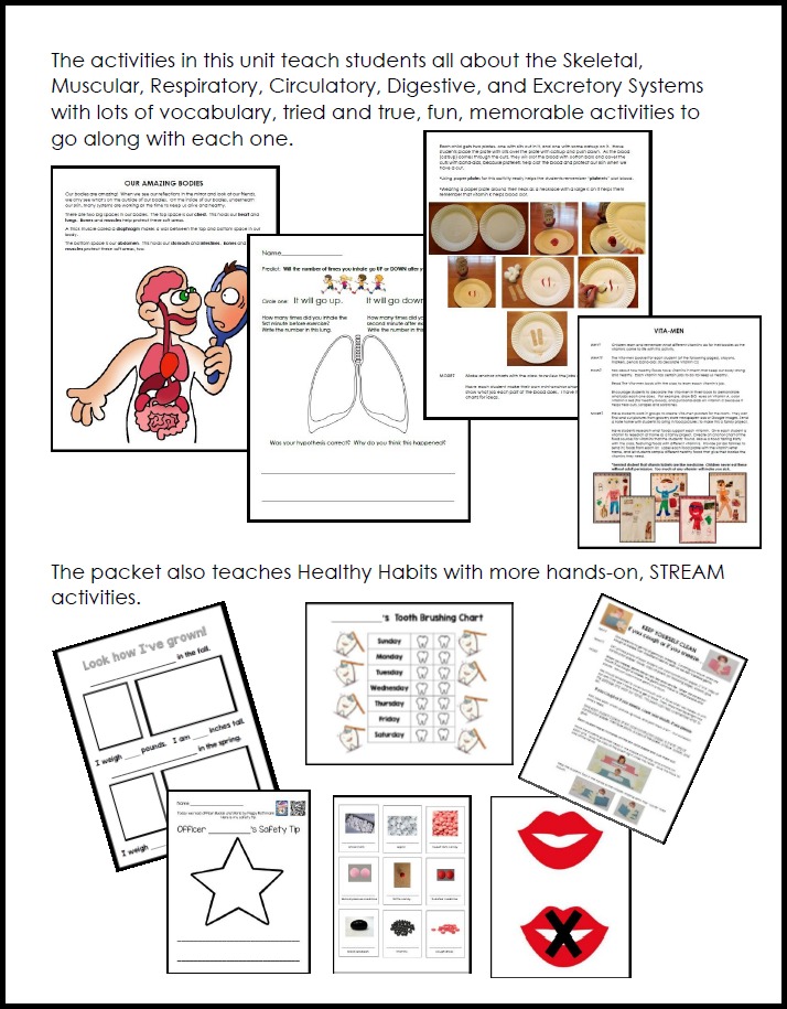Kindergarten: Holding Hands and Sticking Together: Healthy Body ...