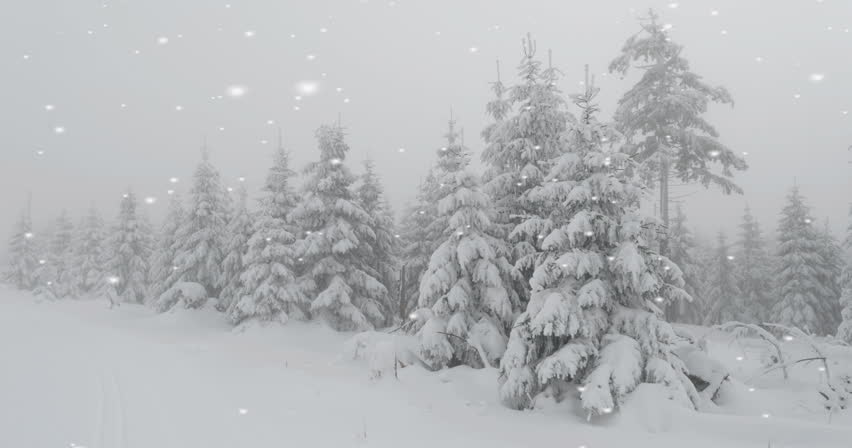 The Poetry of R.E. Slater: Robert Frost - Christmas Trees