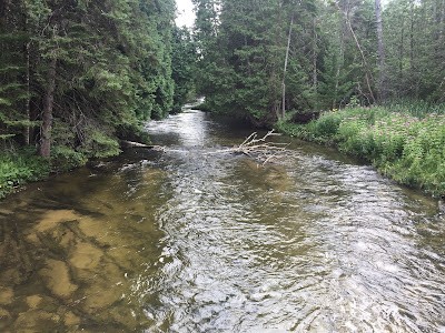 Travel Reviews & Information: Mancelona and East Jordan, Michigan ...