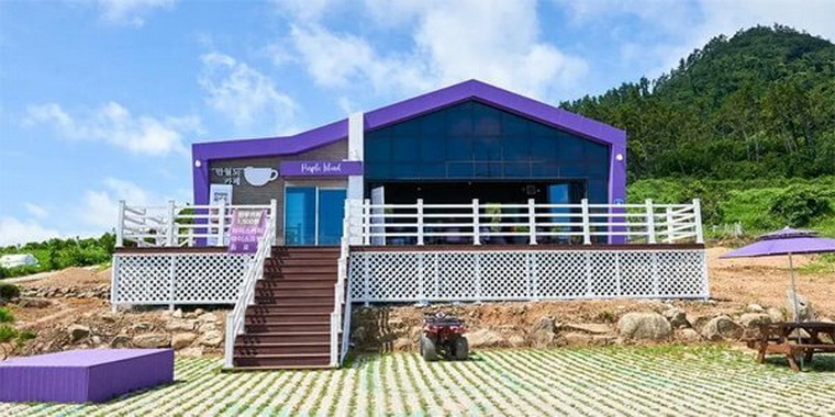 Purple Island in South Korea