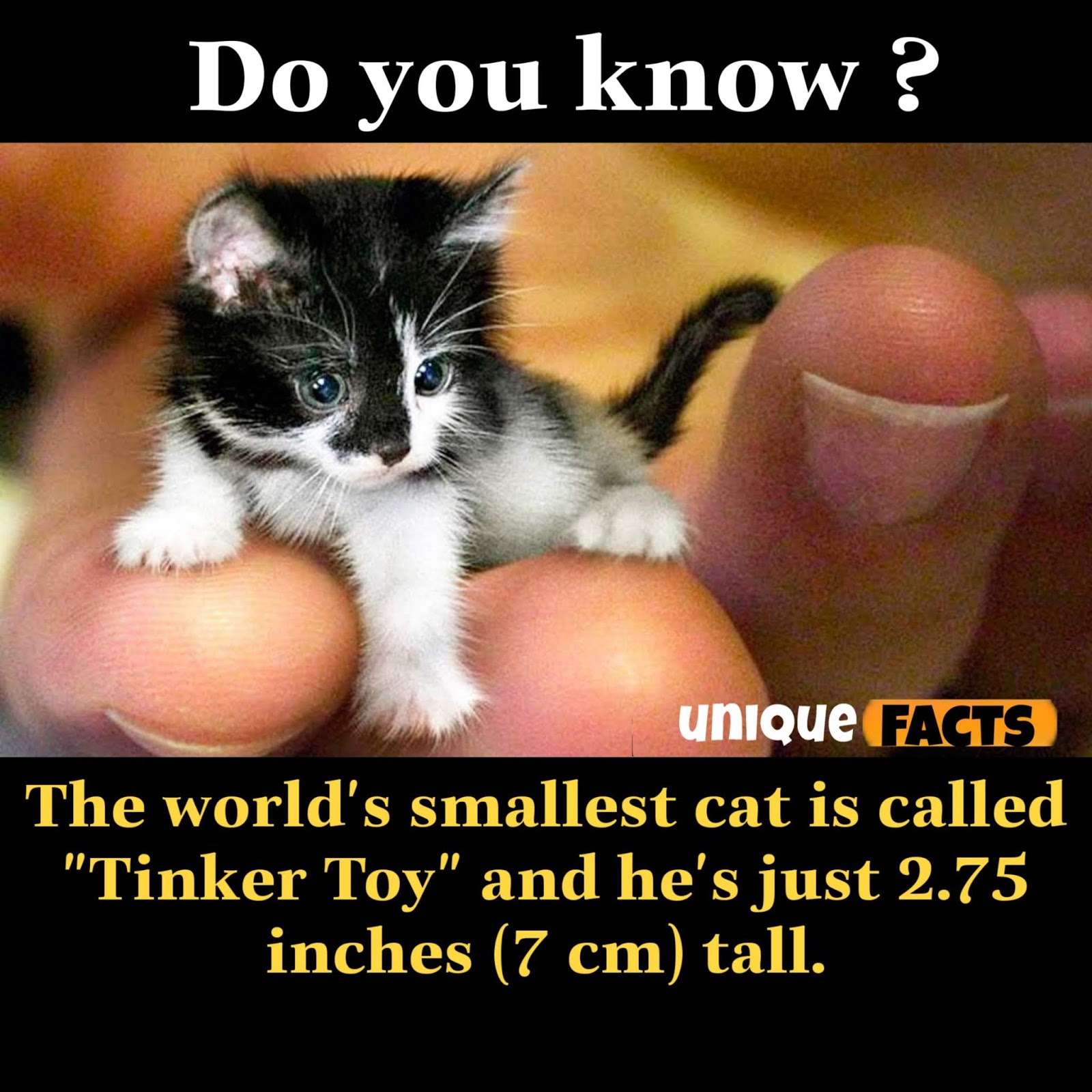 25+ interesting facts images || That's truly blow up your mind ...