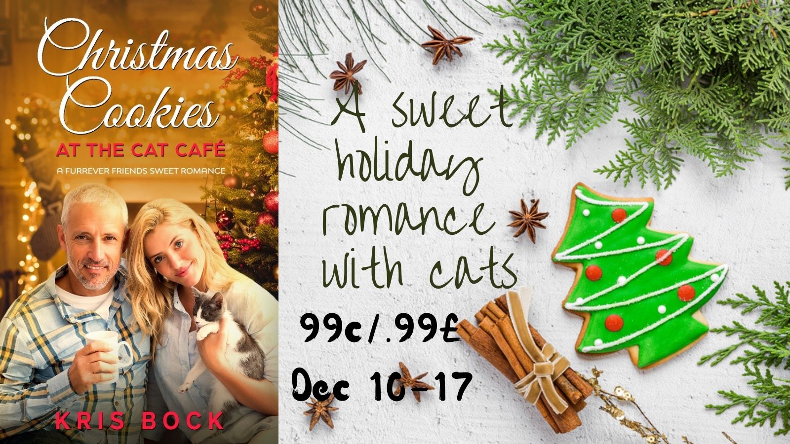 The Southwest Armchair Traveler Christmas Cookies At The Cat Caf Is the-southwest-armchair-traveler-christmas-cookies-at-the-cat-caf-is