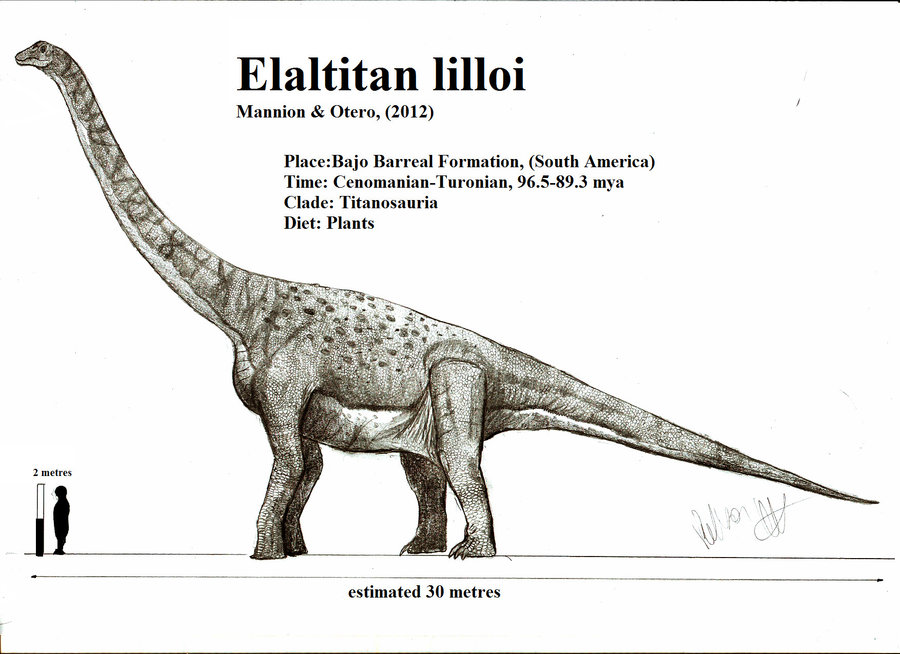 Los animales en la prehistoria: junio 2013