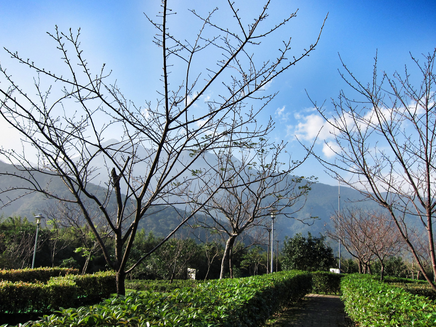 Everyday Im Travelling: Taiwan Day 6 : Yang Ming Shan 陽明山 + Fisherman ...