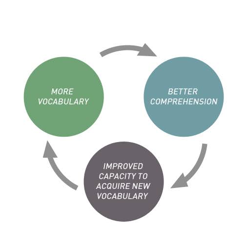 How to learn vocabulary?