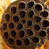 What is Trypophobia, Symptoms and Causes Treatment Of It - FOW 24 NEWS