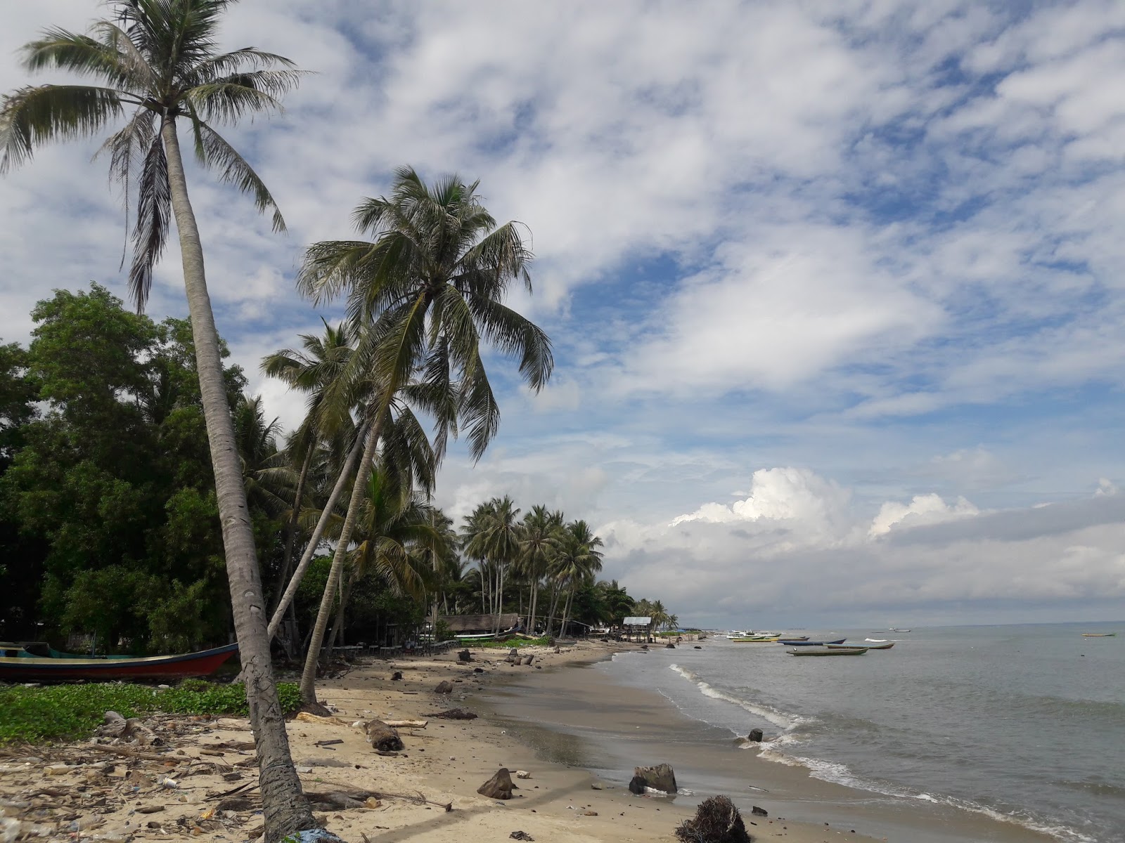 TRIP TO TARAKAN - NORTH BORNEO - WAR!