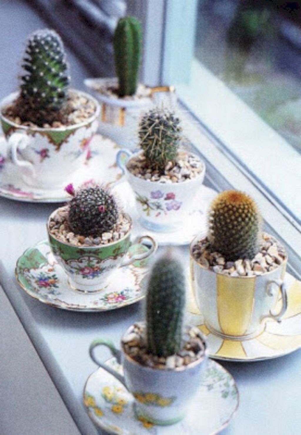 48 Cute Small Cactus Ideas To Maximize Your Interior Design | ARA HOME