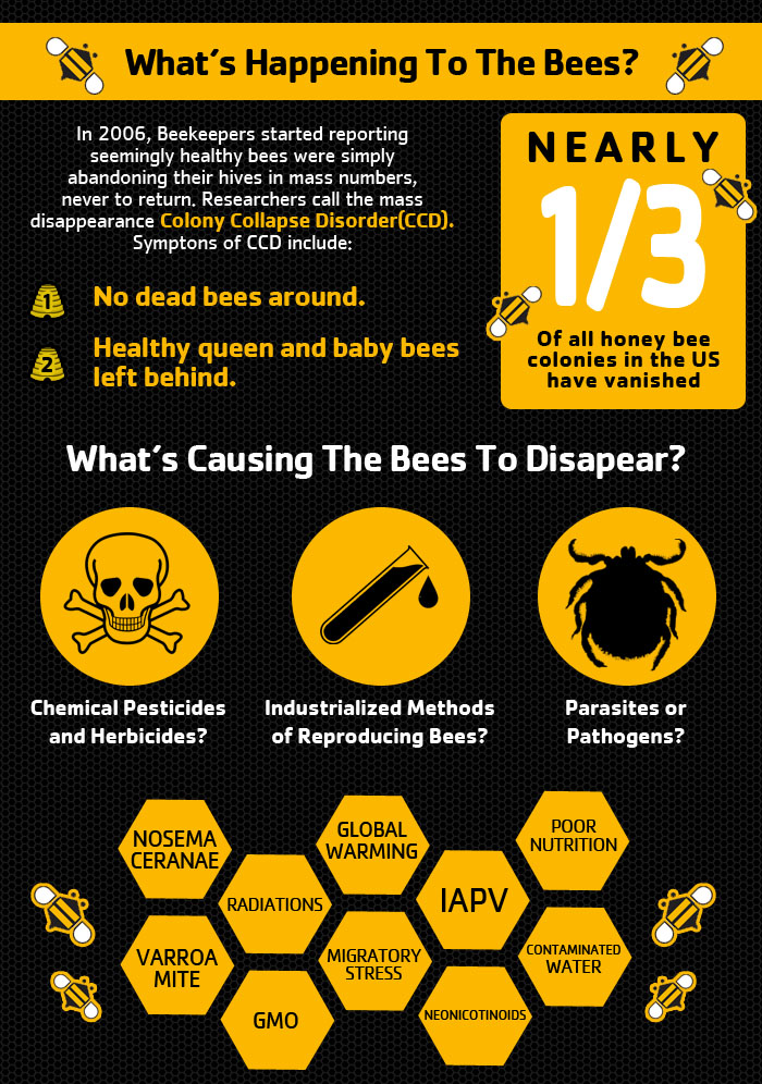 MUSUH ALAMI-PREDATOR: Infographic: How Are Dying Bees Affecting Our Lives?