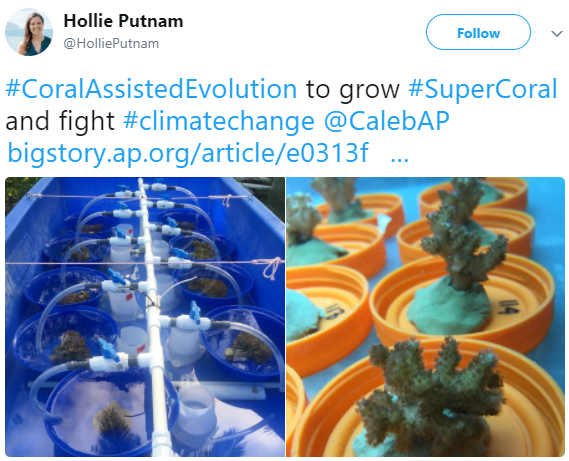 Earth and Space News: Gates Lab Seeks Climate Resilient Super Corals ...