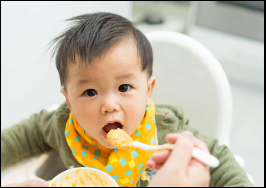 Lunch And Dinner Ideas For 11 Month Old lunch-and-dinner-ideas-for-11-month-old