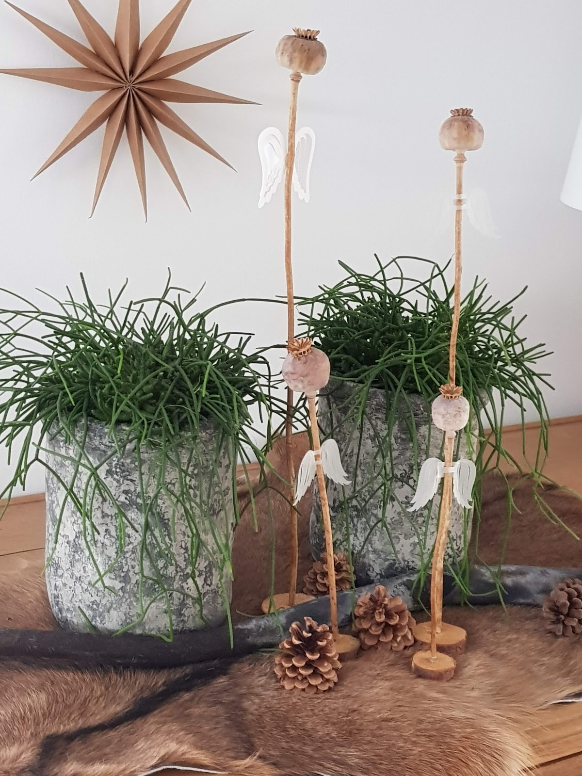 Shabbylinas Welt .....wie es mir gefällt: Reise durch den Advent ...