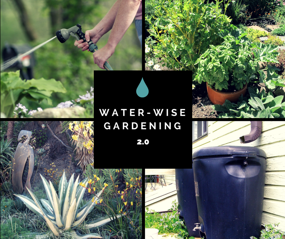 An Alameda Garden: Water-Wise Gardening 2.0