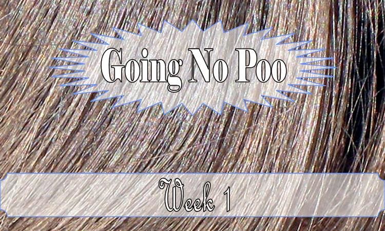 Happy Modern Hippy: Going No Poo - Week 1
