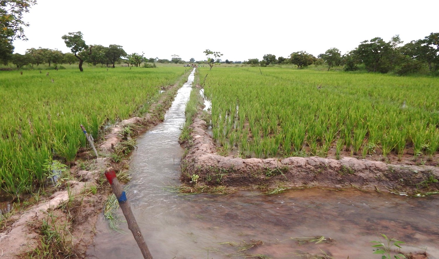 INFOS Recherches Environnementales et Agricoles : SMART-Valley, une ...