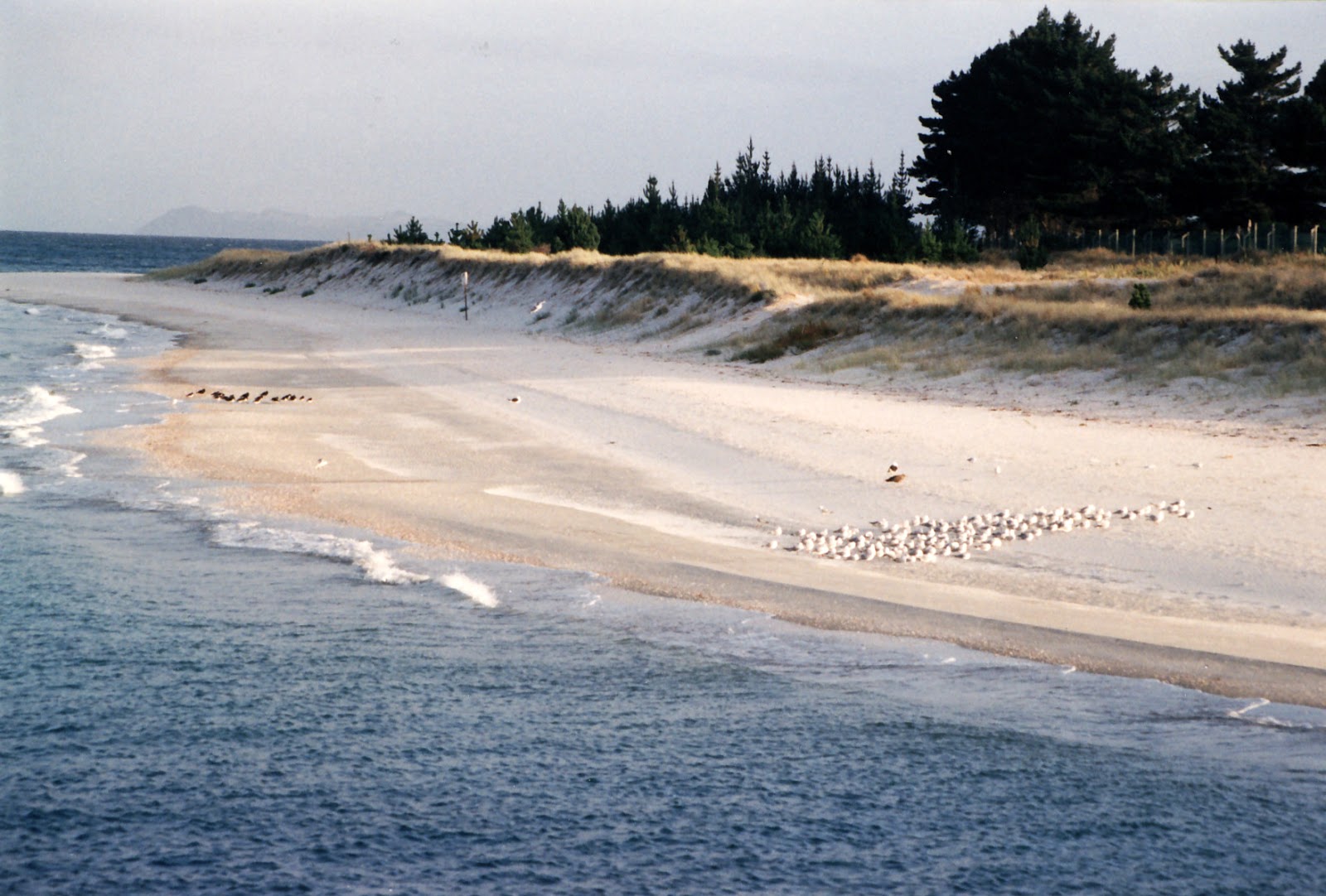 'ZIEN EN WETEN': NATICINA M.S. SHELL TANKERS B.V. (DEEL 3)