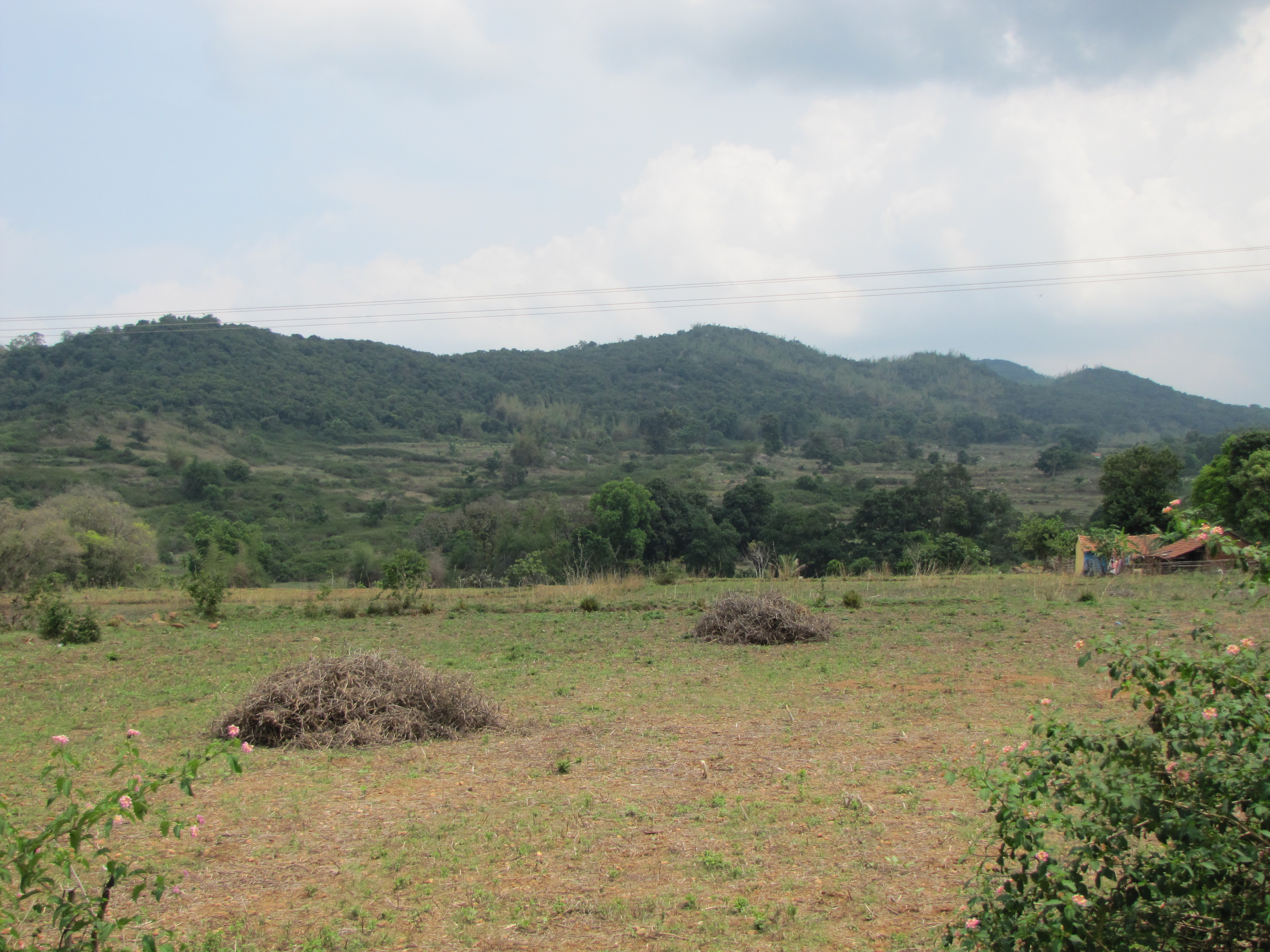 Panchapalli & Bettamugilalam: Hidden getaways from Bangalore