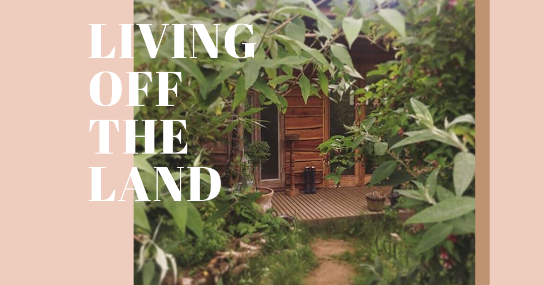 8 TIPS FOR LIVING OFF THE LAND | WITHMETTA.ONLINE