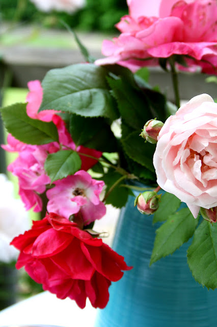 Madelief: Late June garden