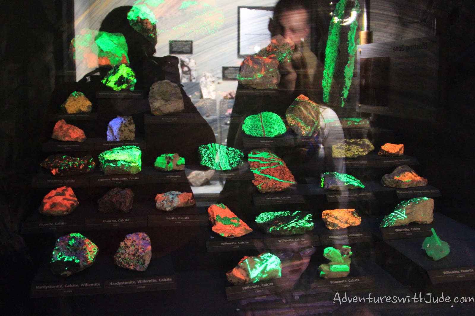 Adventures with Jude: A Visit to Smithsonian Institution Museums