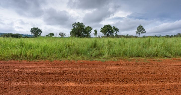 Apa yang Disebut Tanah? | Belajar Sampai Mati