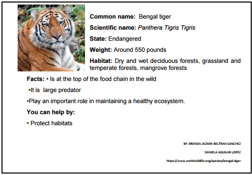 MY ENGLISH PROJECTS 5