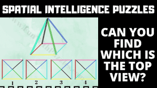 Quick Spatial Reasoning Puzzles with Answers