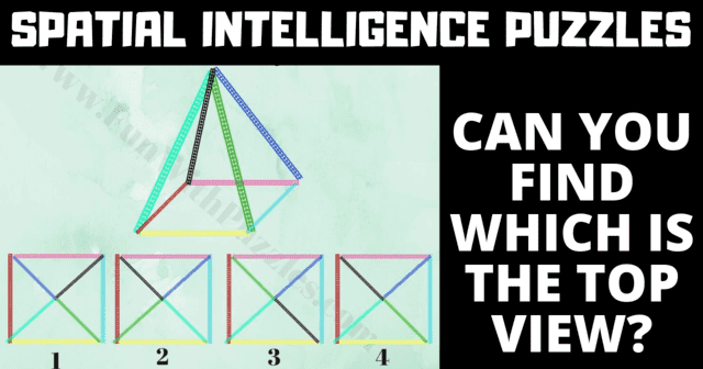 Quick Spatial Reasoning Puzzles with Answers
