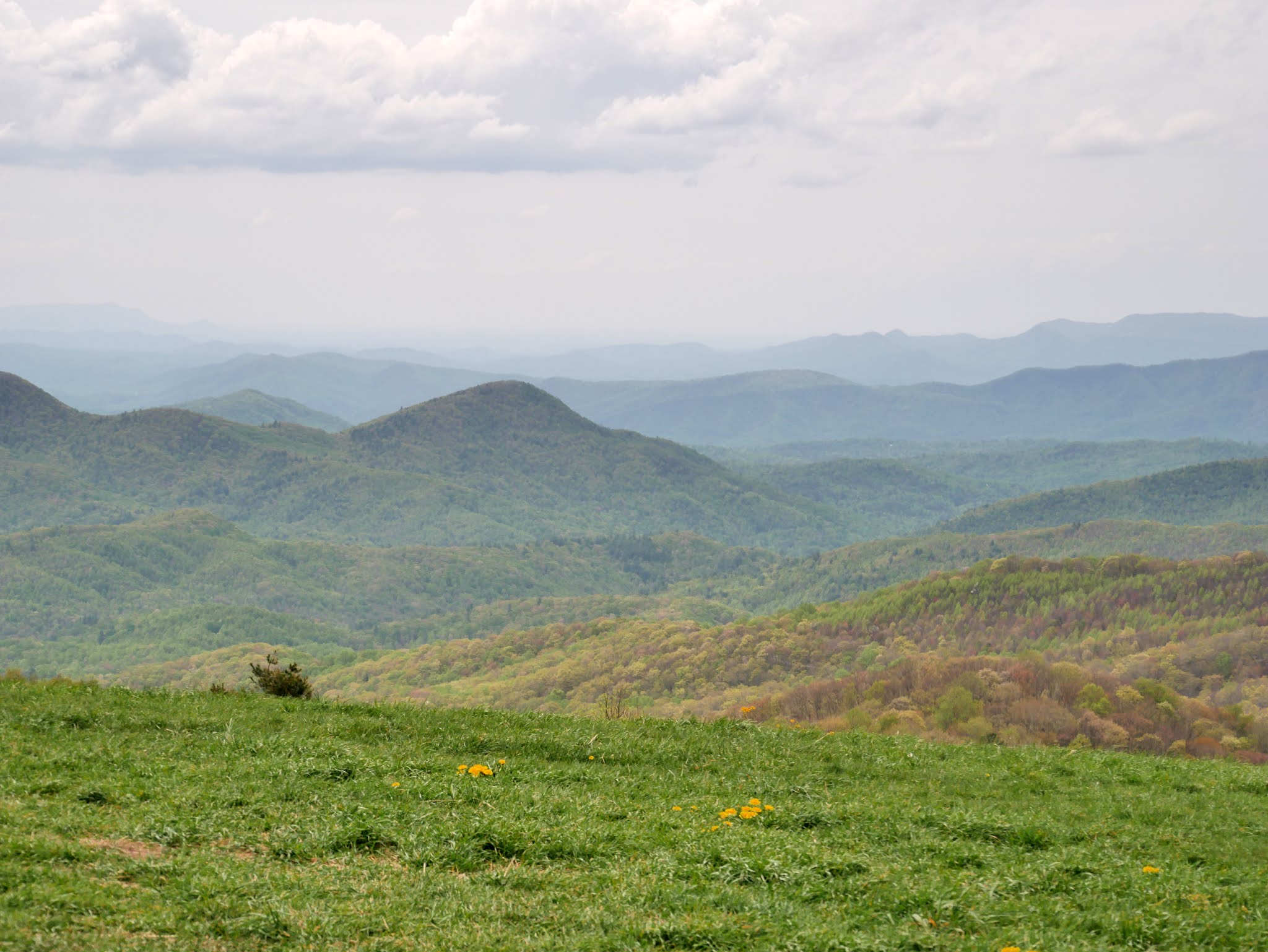 American Travel Journal: Max Patch Summit to Lemon Gap - Appalachian Trail