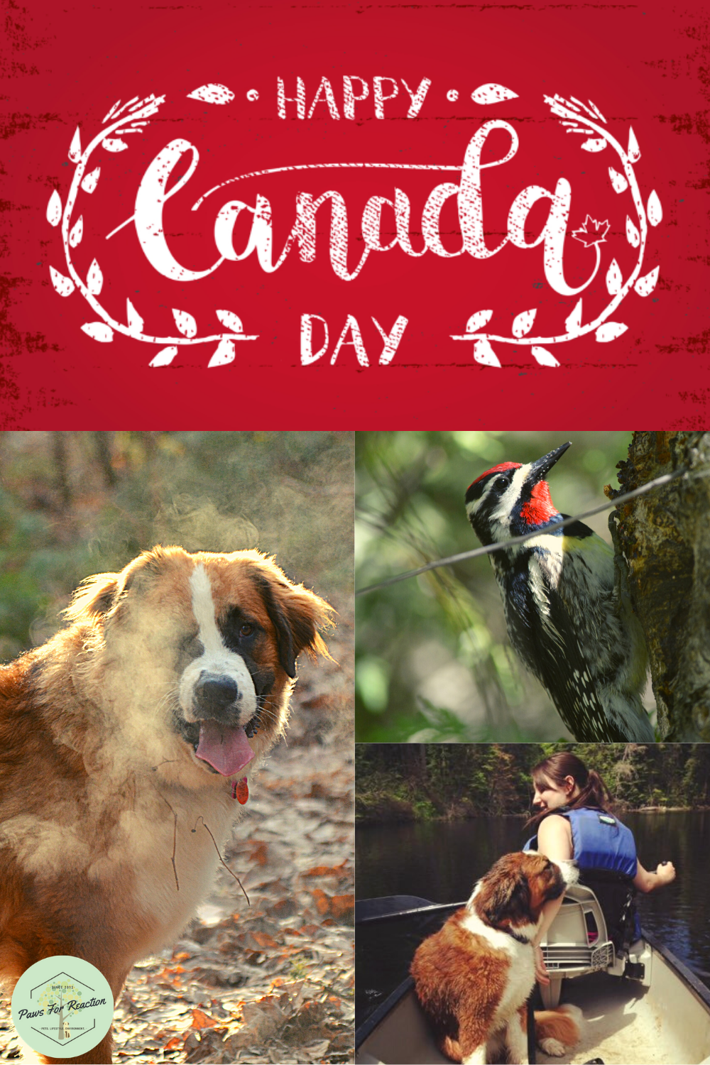 Paws For Reaction How To Celebrate Canada Day During The Global COVID paws-for-reaction-how-to-celebrate-canada-day-during-the-global-covid