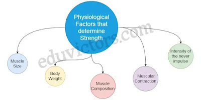 CBSE Papers, Questions, Answers, MCQ ...: Physiological Factors ...