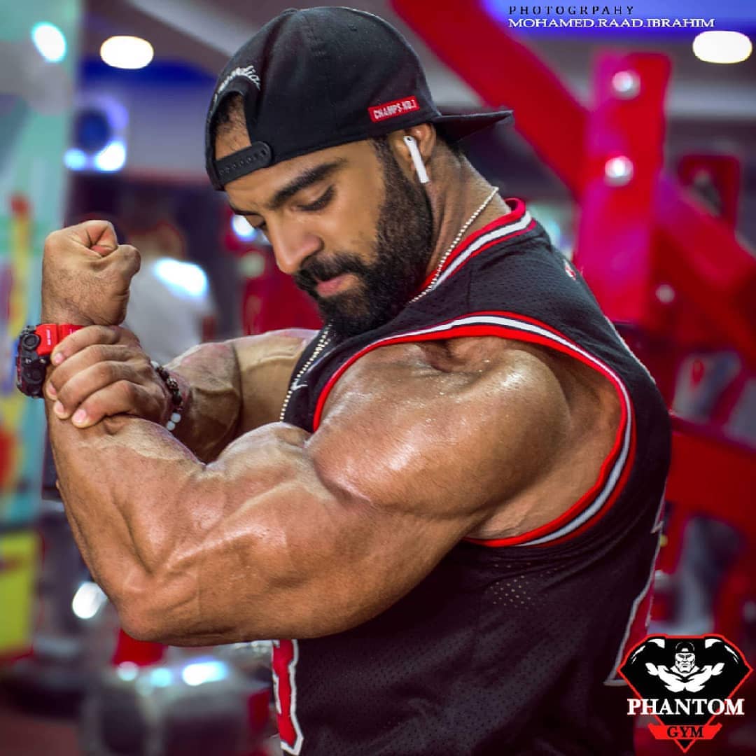 Muscle Lover: Egyptian IFBB Pro bodybuilder Mohamed Embaby