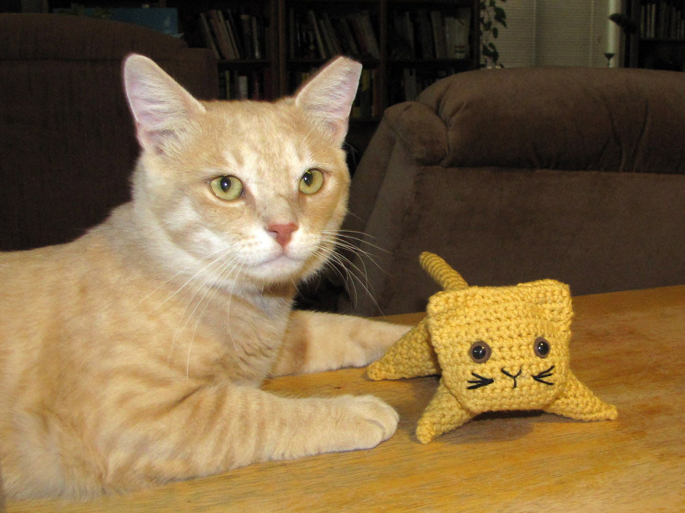 Desert Colors: Crochet Kitten