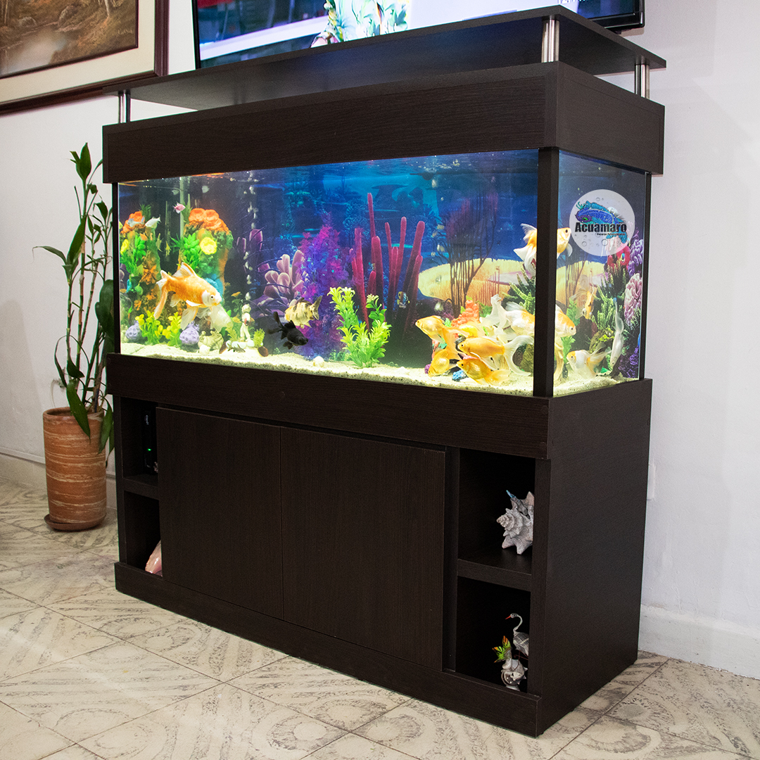 Acuarios, Peceras, Peces, Fuentes de Agua en Cali - Colombia: Pez ...