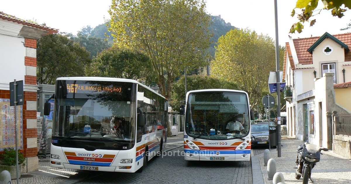 transportes online: Scotturb com "Horários Não Escolares" a partir de ...
