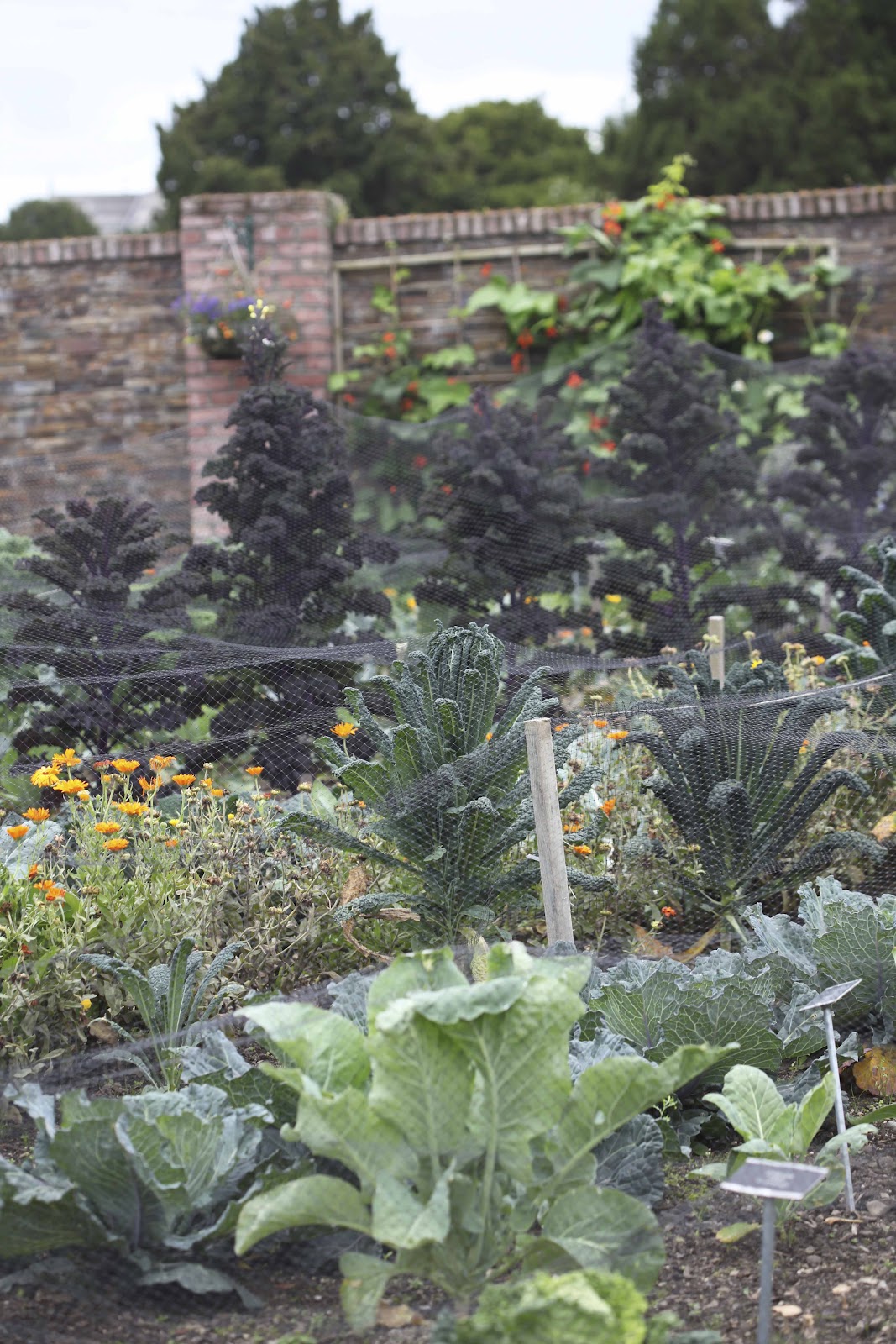 Garden Living: Botanisk hage - Dublin