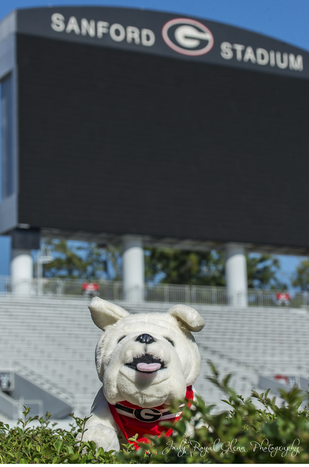 Chomp! - Seeing Through God's Eyes