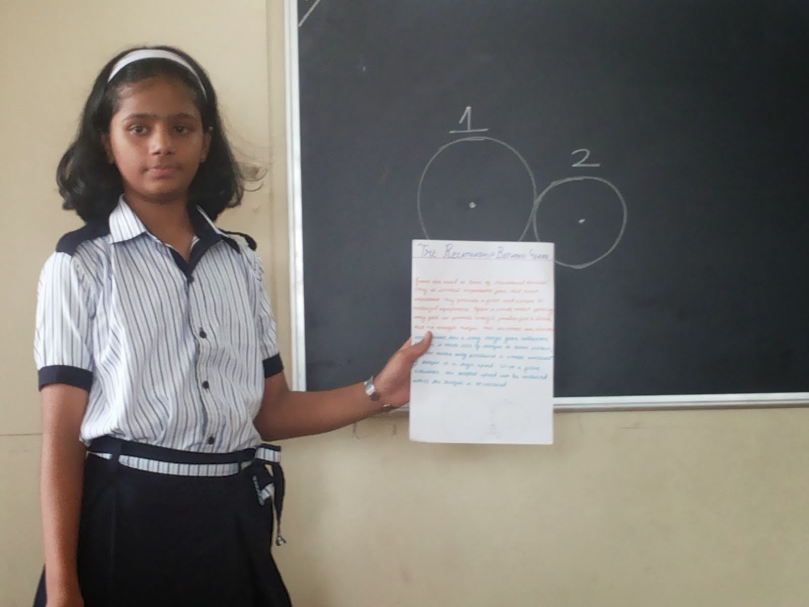 The Rustomjee Cambridge Diaries: Grade 6-Math Project