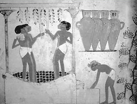 Shortnotes of History: Ancient fermentation