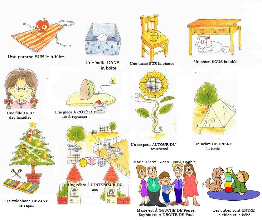 Amanda la prof: Les prépositions-NB1