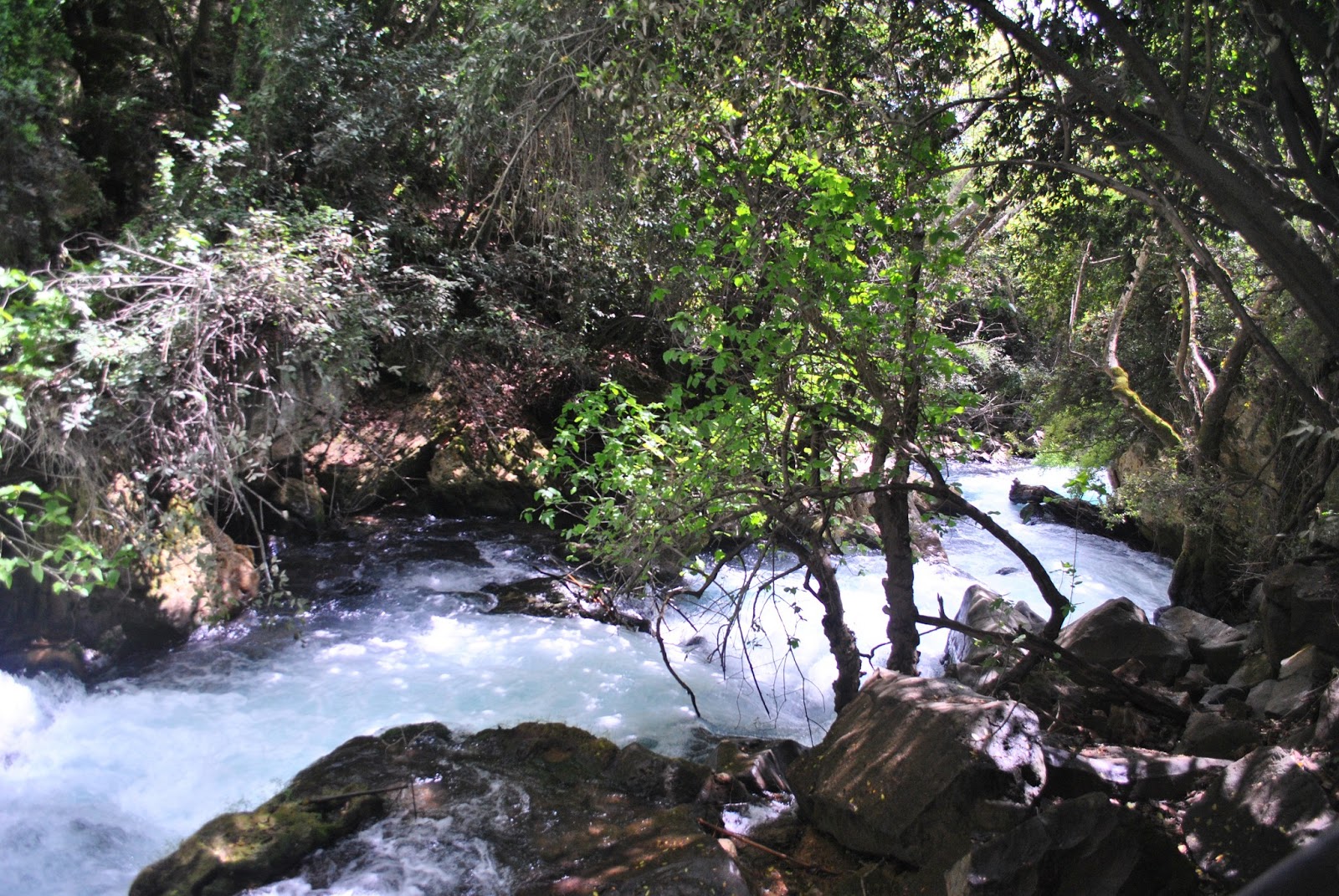 the Grabers: Banias waterfall, Caesarea Philippi and the Damascus road