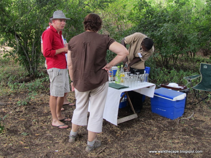 Walking the Cape: Lower Zambezi: Chongwe Falls