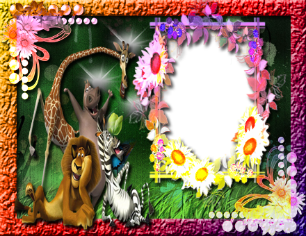 Marcos de madagascar - Imagui