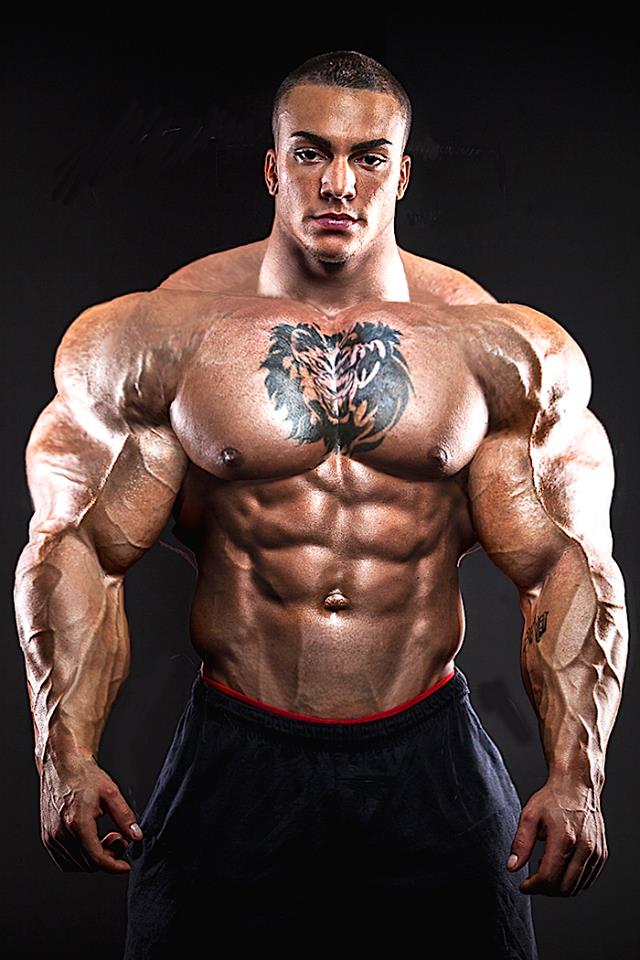 Muscle Bear Hairy: Morphs