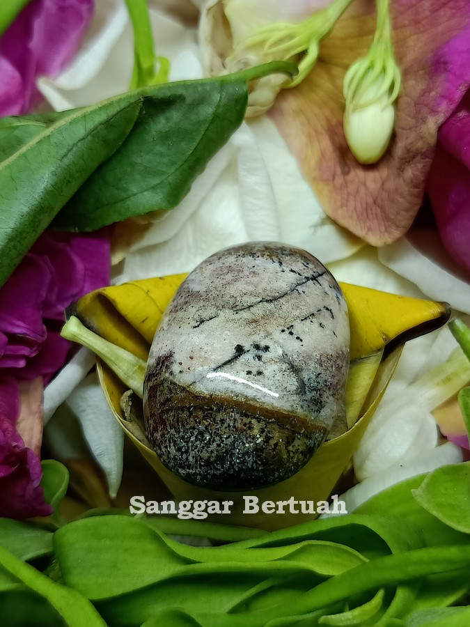 MUSTIKA KALIJAGA HARIMAU PUTIH ~ Jimat Azimat | Batu Mustika Geliga ...