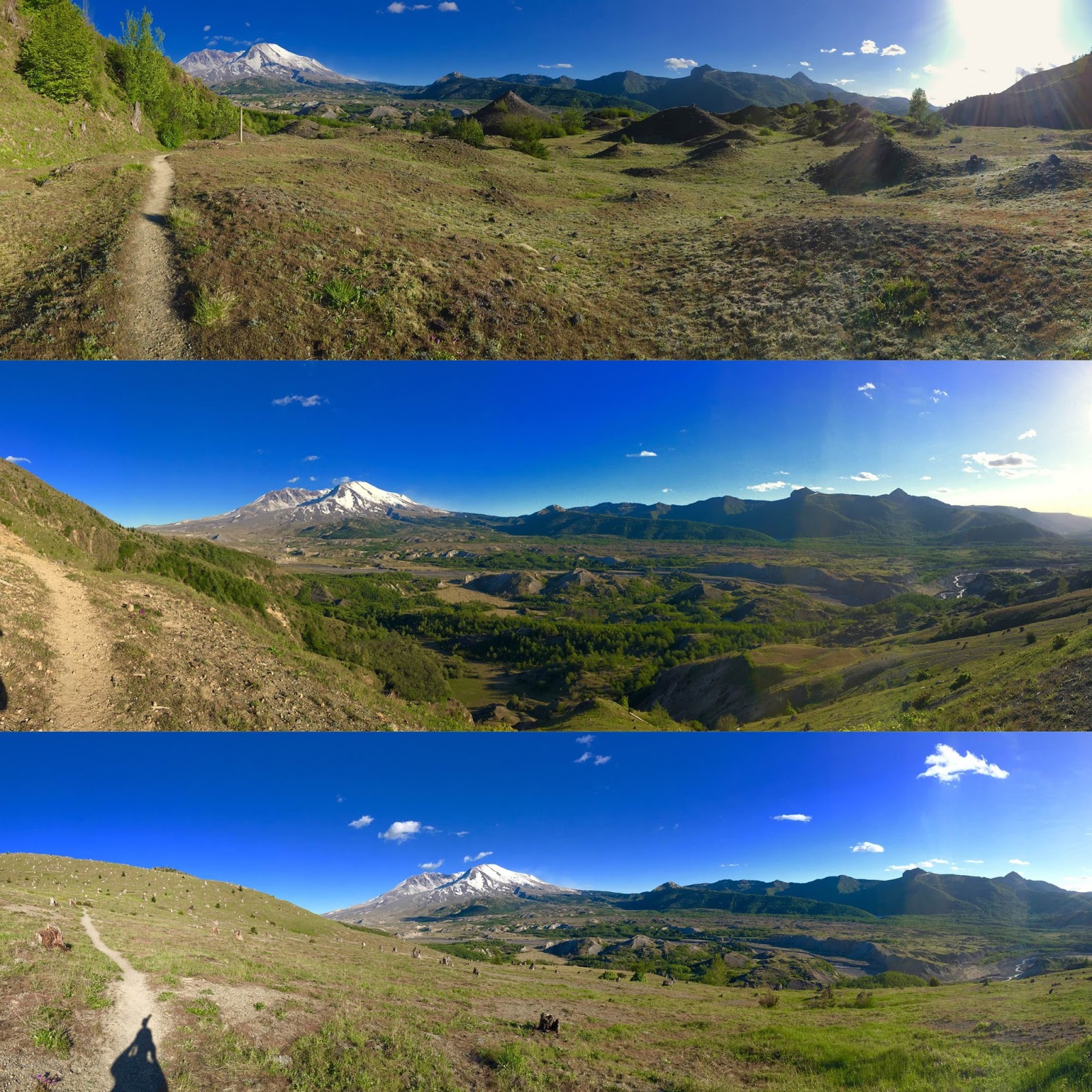 Life is a mountain.: Hummocks Trail and Boundary West Trail - Mount St ...