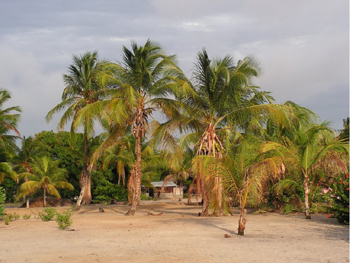 Destinos: Reserva Natural Galibi (Surinam)