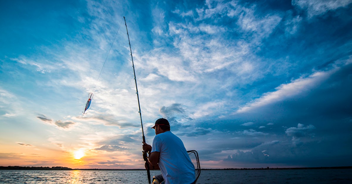 SOBRE LA LEY QUE REGULA LA PESCA MARÍTIMA DE RECREO - Galicia Gastro